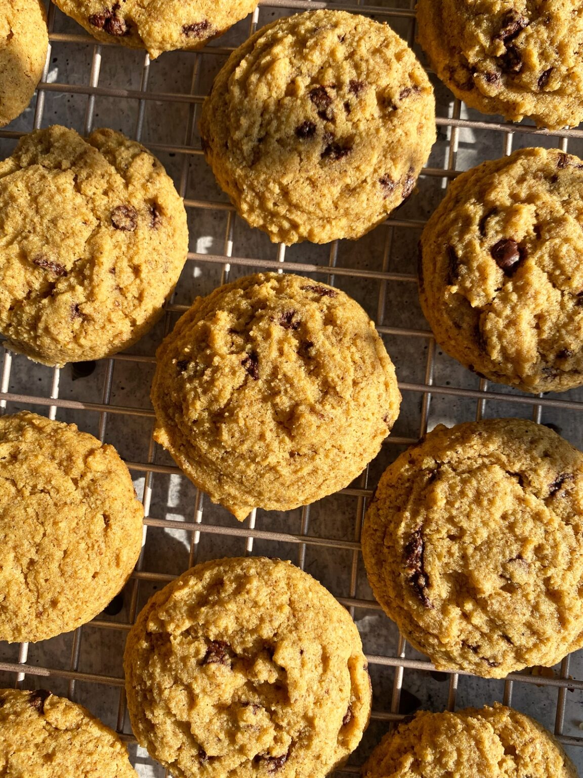 A Guide To Tigernut Flour (What is it? How to use it) - Bake It Paleo