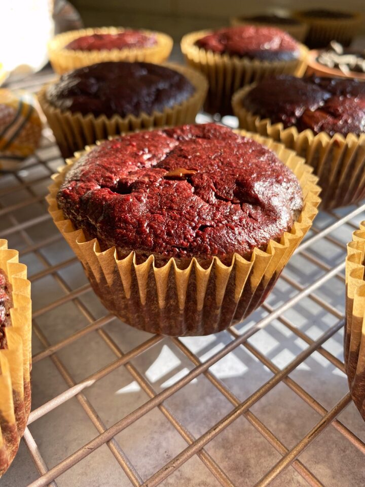 Healthy Chocolate Beet Muffins (Paleo, Gluten Free) - Bake It Paleo