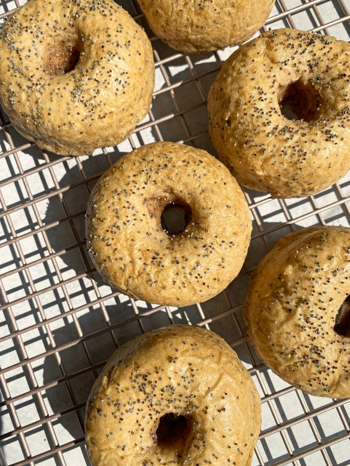 Poppy Seed Bagel Recipe (Grain Free, No Yeast) - Bake It Paleo