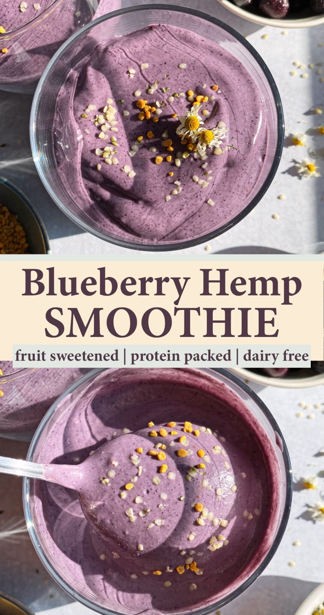 Blueberry Hemp Smoothie (Paleo) - Bake It Paleo