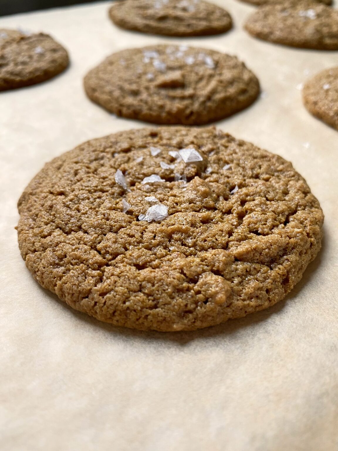 Paleo Sunbutter Cookies (Gluten Free) - Bake It Paleo