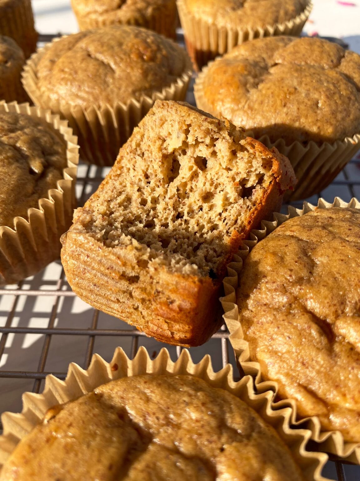 Gluten Free Banana Protein Muffins (No Flour) - Bake It Paleo