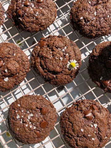 Chocolate Collagen Cookies (Paleo, Nut Free) - Bake It Paleo