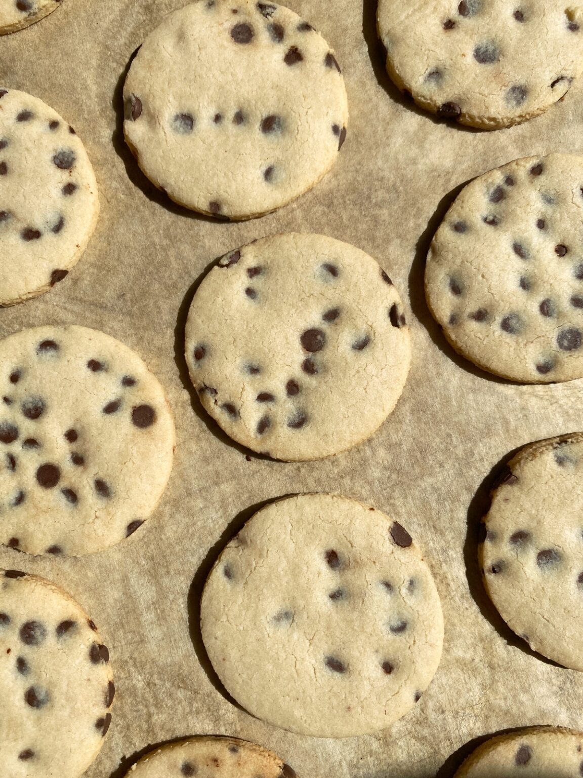 Chocolate Chip Cut Out Cookies (Gluten Free, Egg Free) - Bake It Paleo