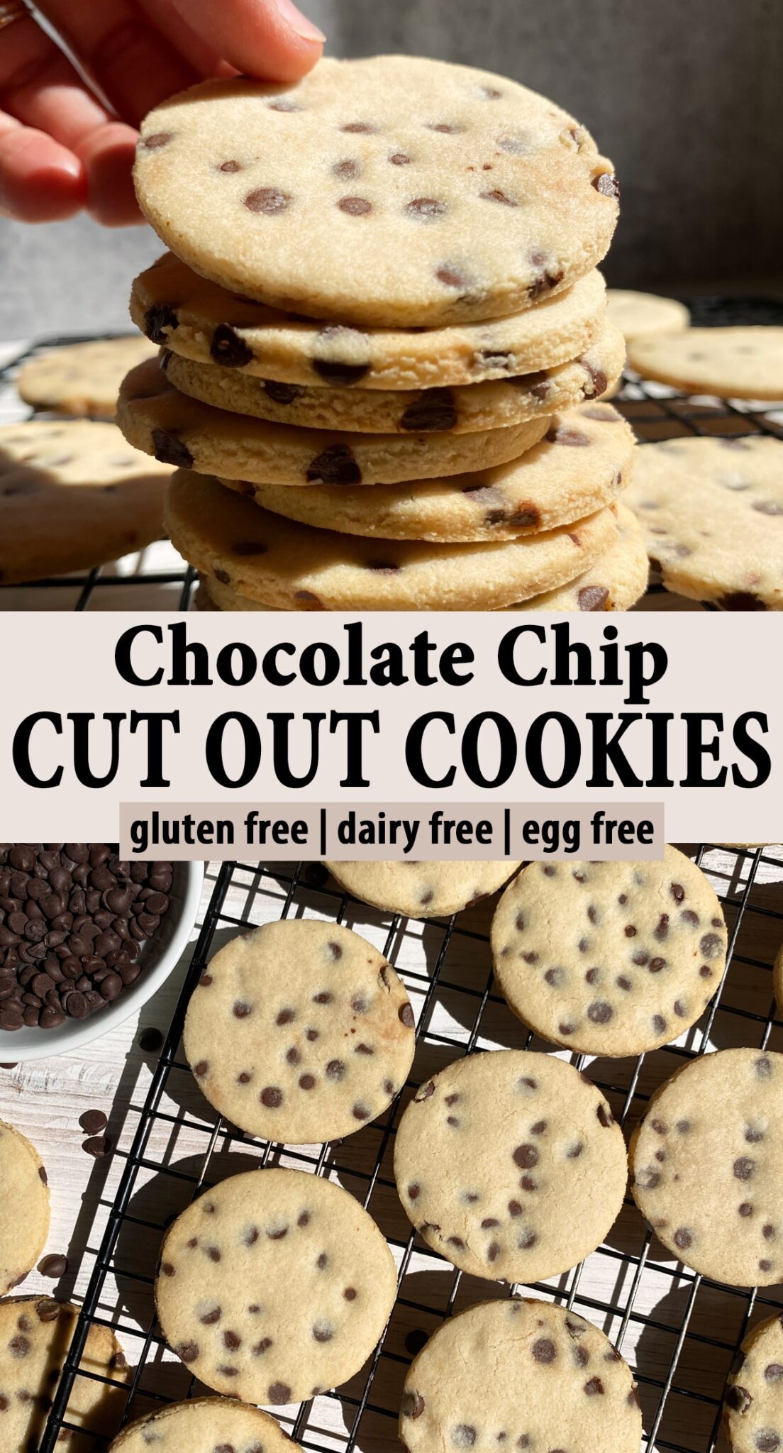 Chocolate Chip Cut Out Cookies (Gluten Free, Egg Free) - Bake It Paleo