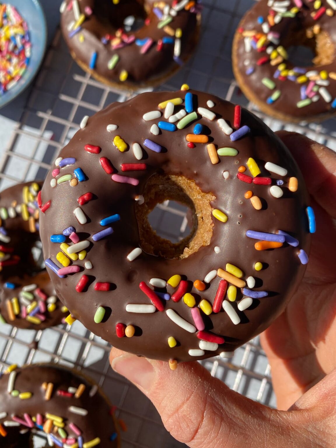 Gluten Free Protein Donuts (Dairy Free) - Bake It Paleo