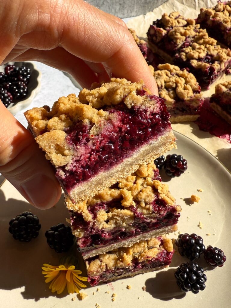 Healthy Blackberry Crumb Bars (Gluten Free, Paleo) - Bake It Paleo